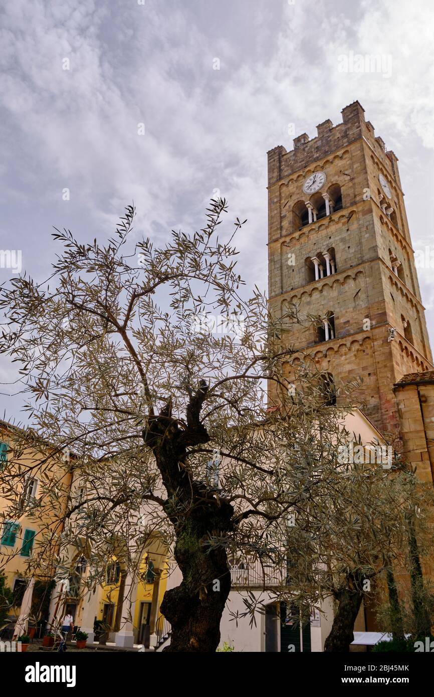 Porcaari hi-res stock photography and images - Alamy