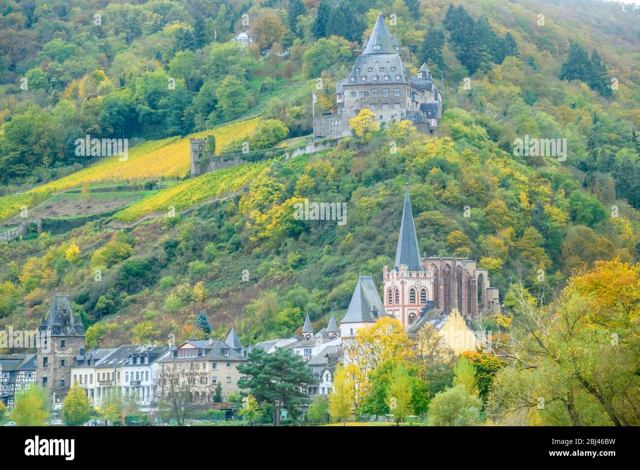 Middle Rhine scenic cruise- Hillside vegetation overlooking the Rhine ...