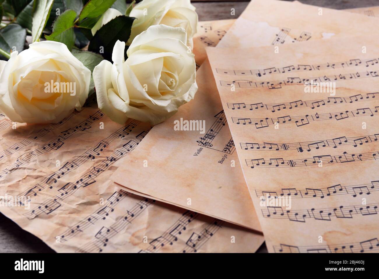 Beautiful rose on music sheets background Stock Photo - Alamy