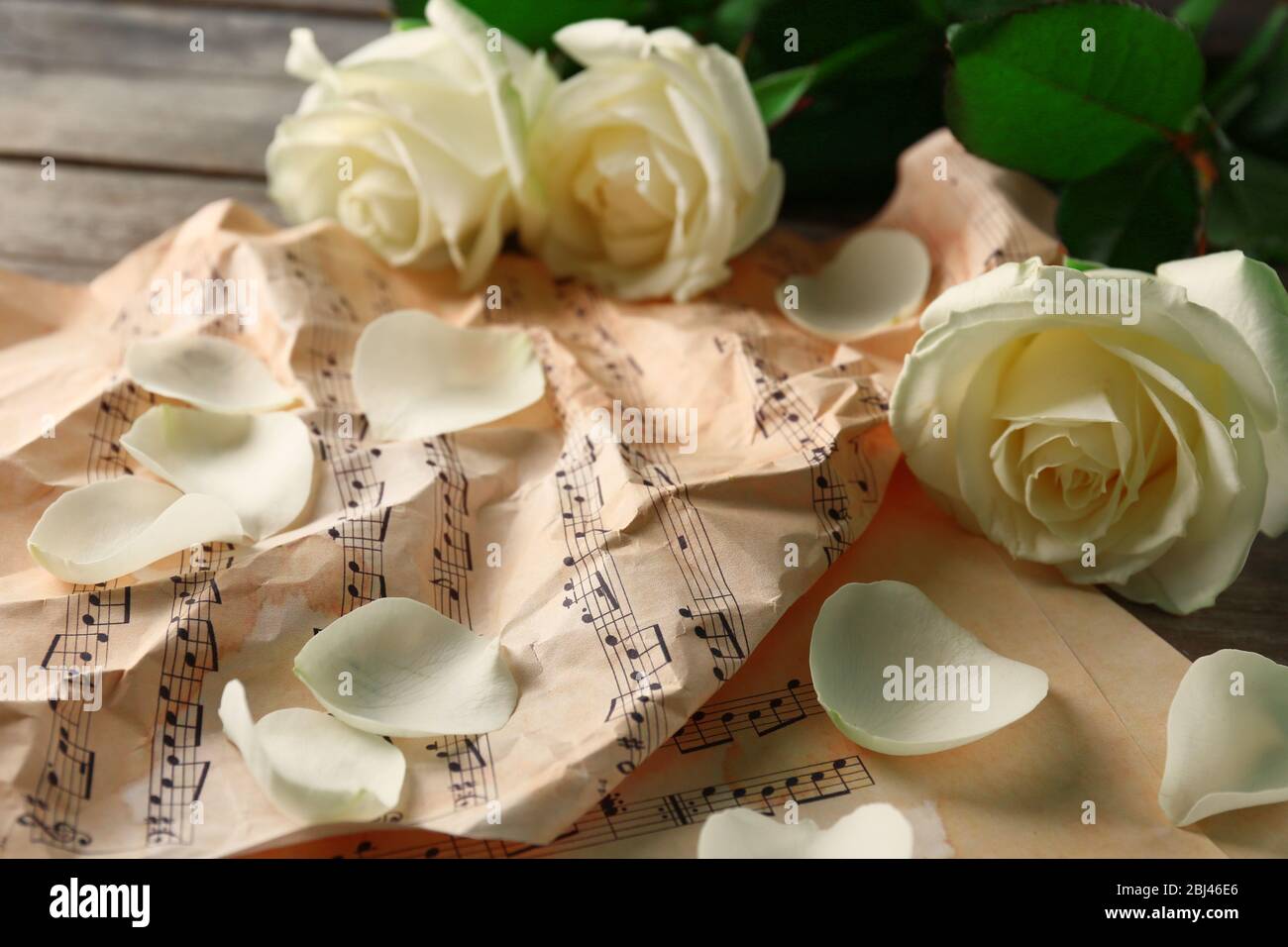 Beautiful rose on music sheets background Stock Photo - Alamy