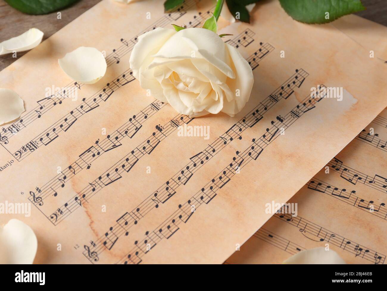 Beautiful rose on music sheets background Stock Photo - Alamy