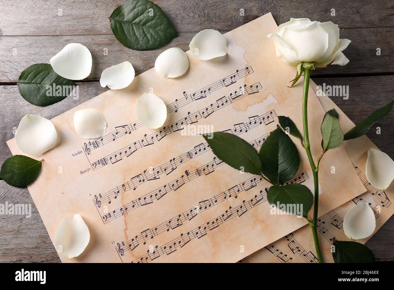 Beautiful rose on music sheets background Stock Photo - Alamy
