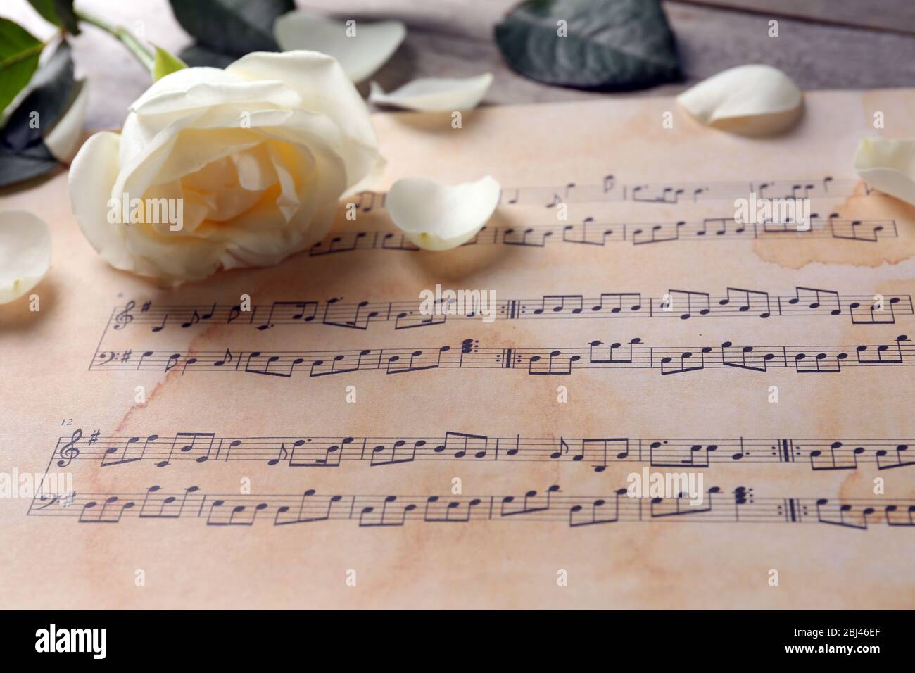 Beautiful rose on music sheets background Stock Photo - Alamy