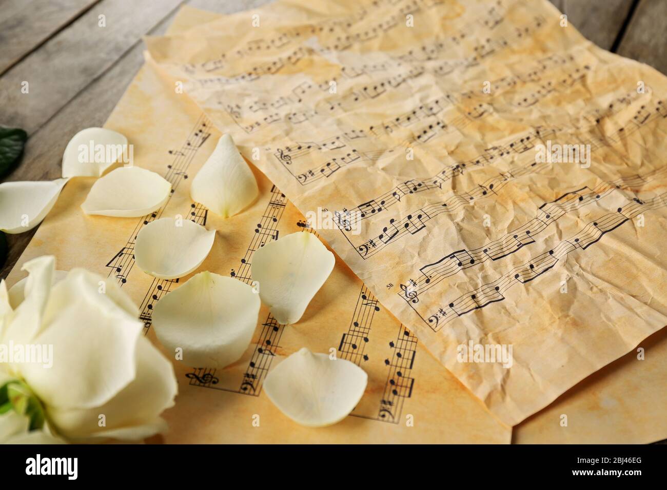 Beautiful rose on music sheets background Stock Photo - Alamy