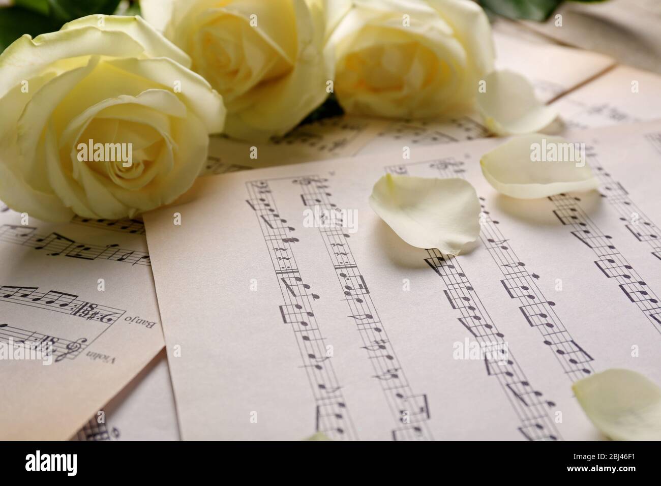 Beautiful rose on music sheets background Stock Photo - Alamy