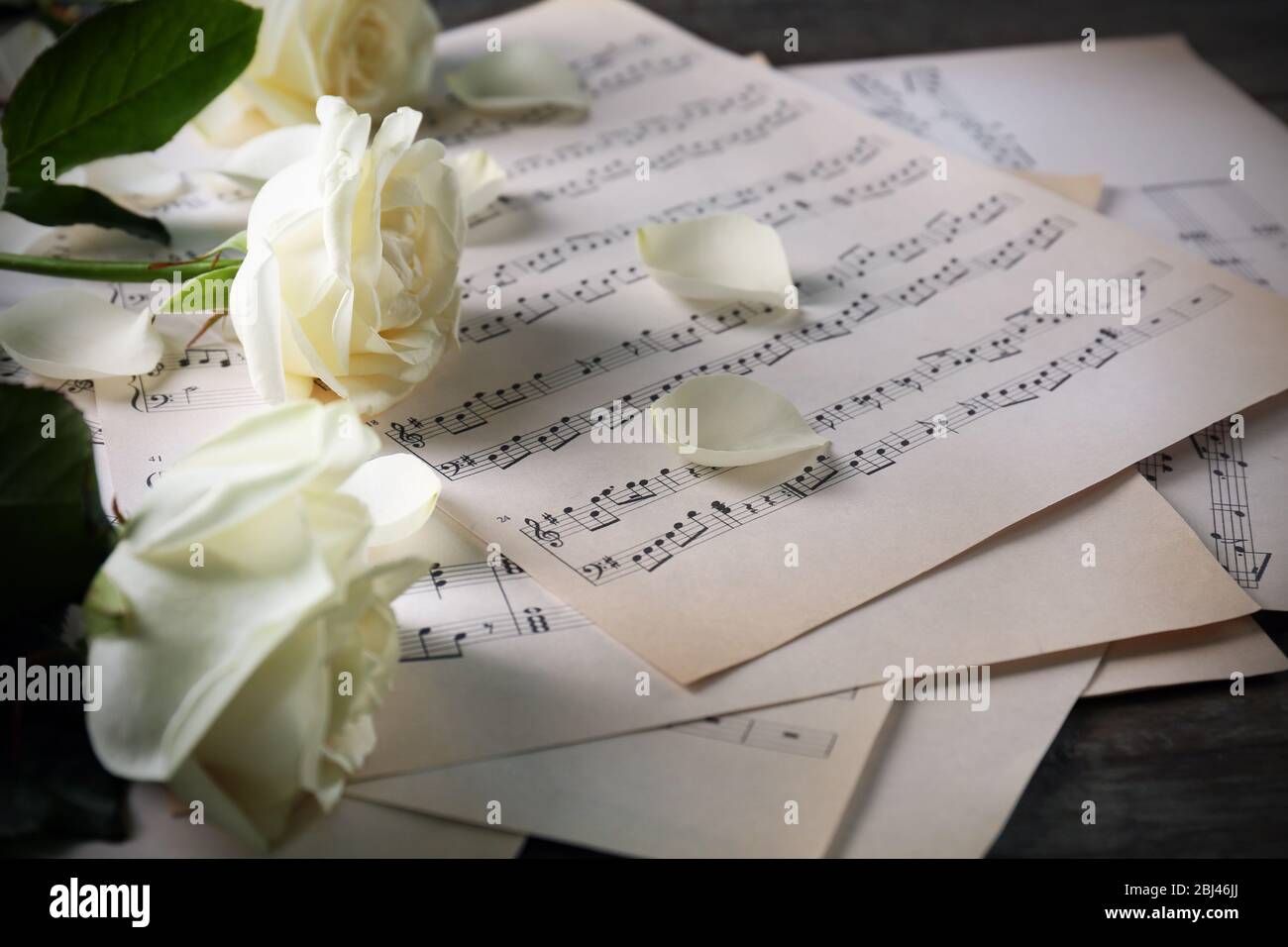 Beautiful rose on music sheets background Stock Photo - Alamy