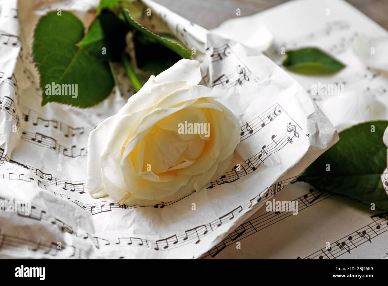 Beautiful rose on music sheets background Stock Photo - Alamy