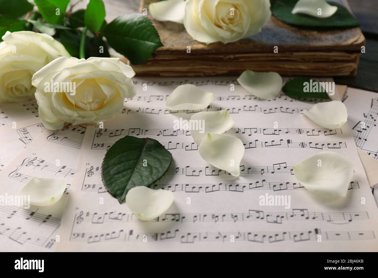 Beautiful rose on music sheets background Stock Photo - Alamy