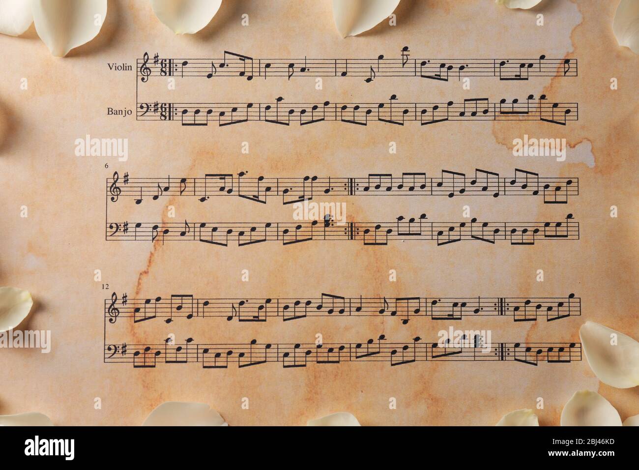 Beautiful rose on music sheets background Stock Photo - Alamy