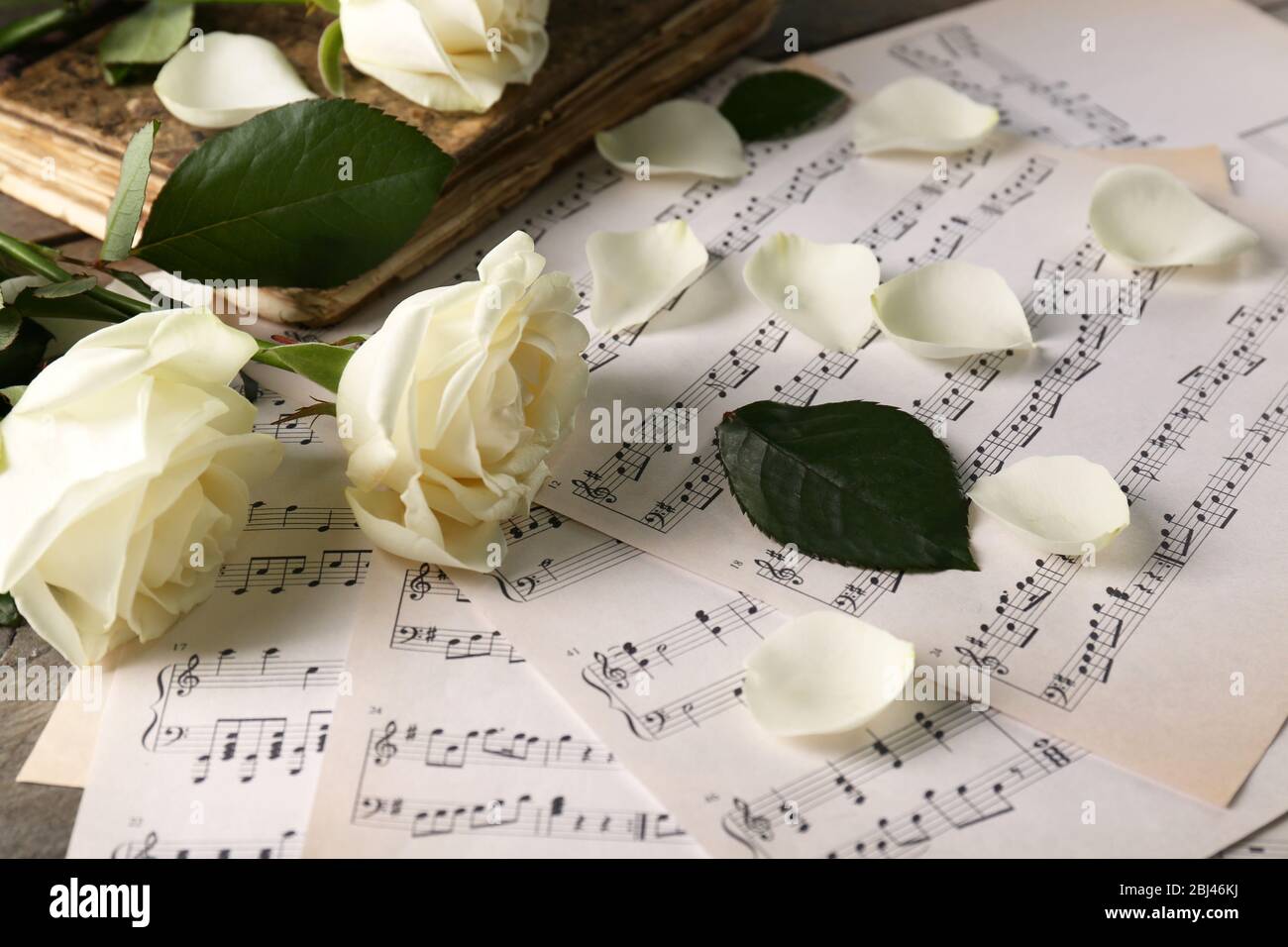 Beautiful rose on music sheets background Stock Photo - Alamy