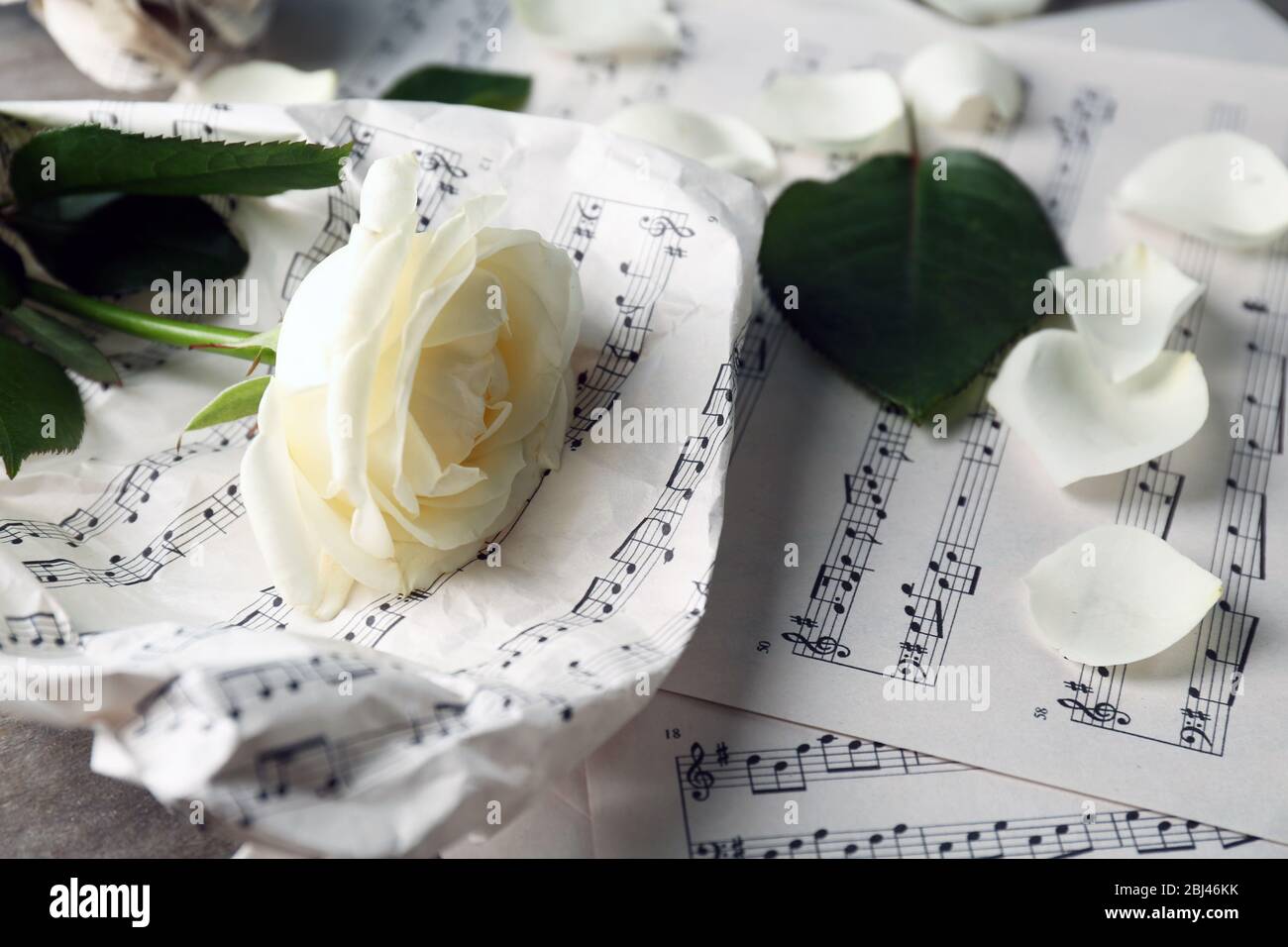 Beautiful rose on music sheets background Stock Photo - Alamy