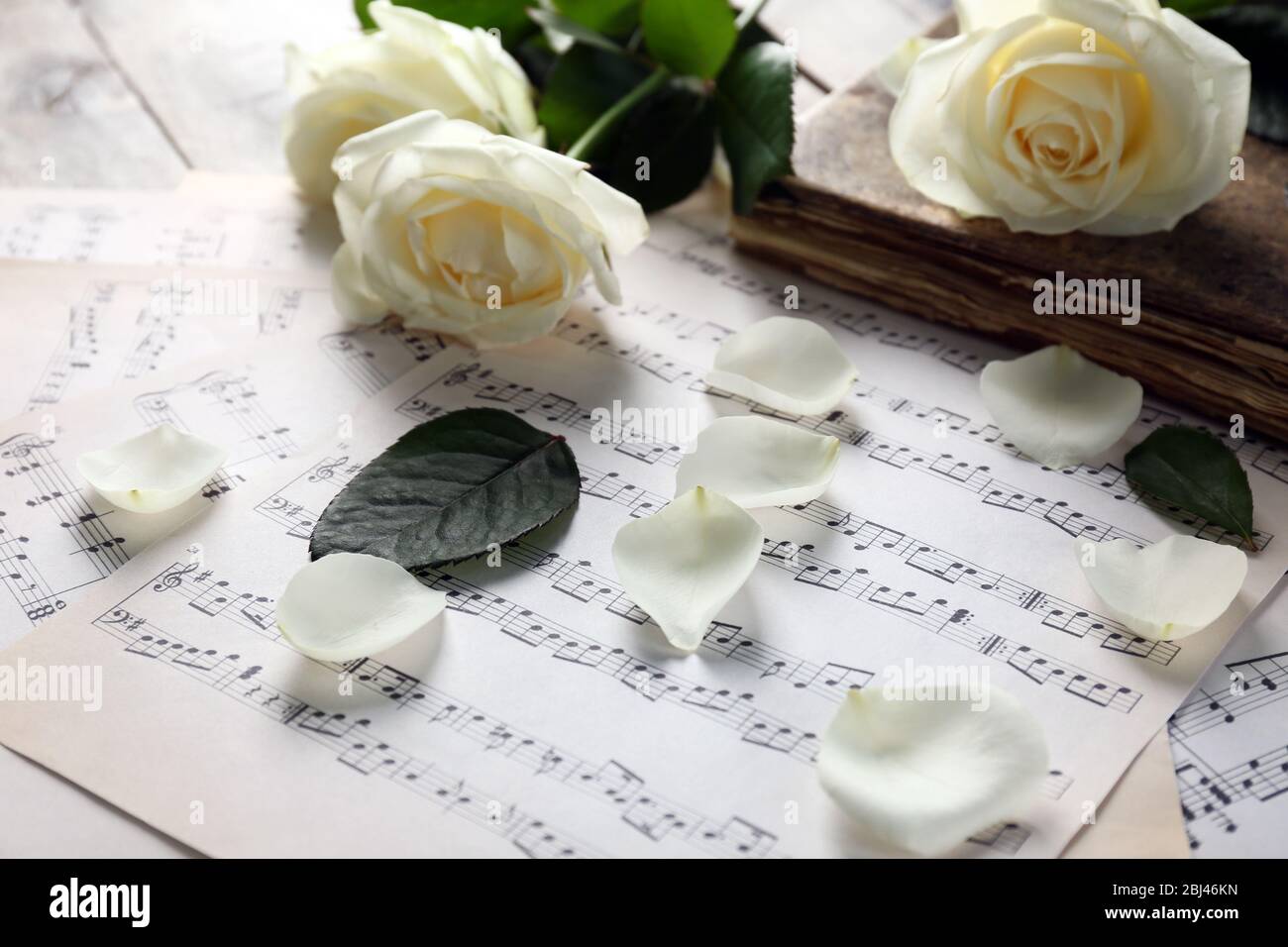 Beautiful rose on music sheets background Stock Photo - Alamy