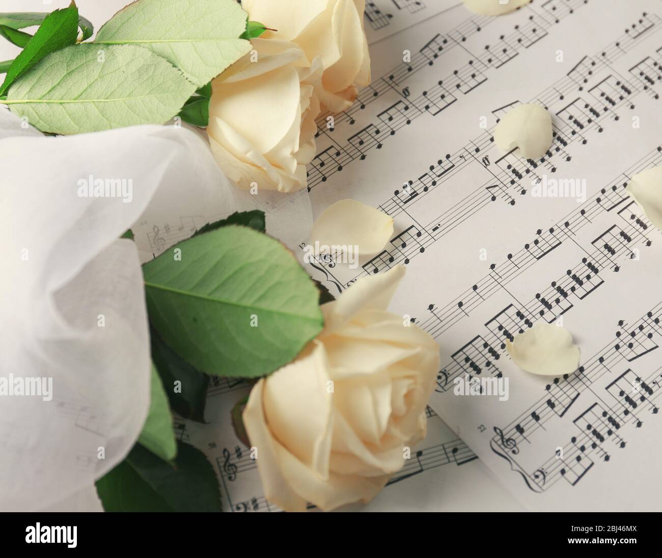 Beautiful rose on music sheets background Stock Photo - Alamy