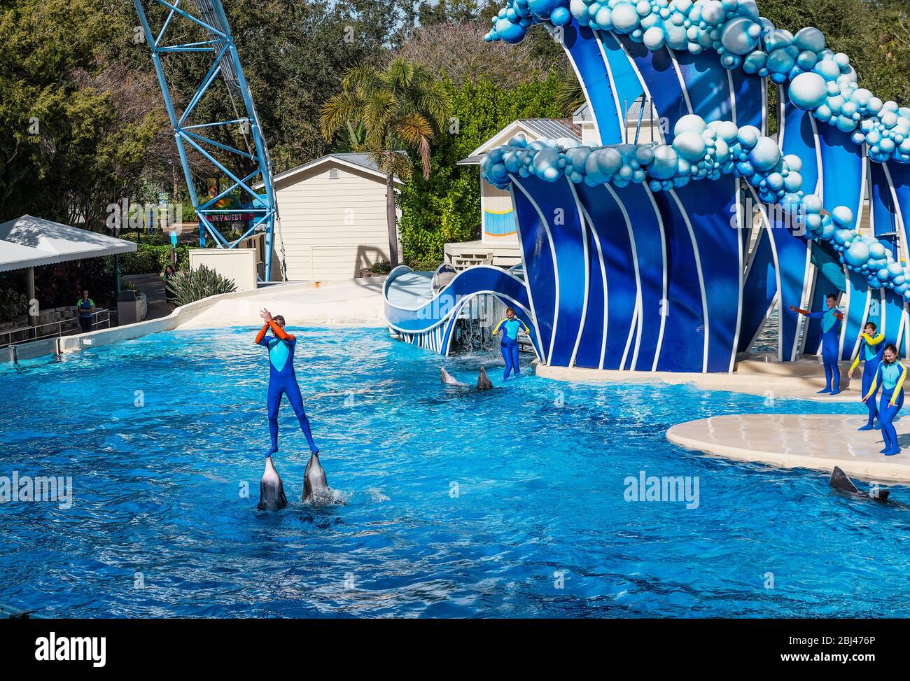 The Dolphin Show at Seaworld at Orlando in Florida Stock Photo - Alamy