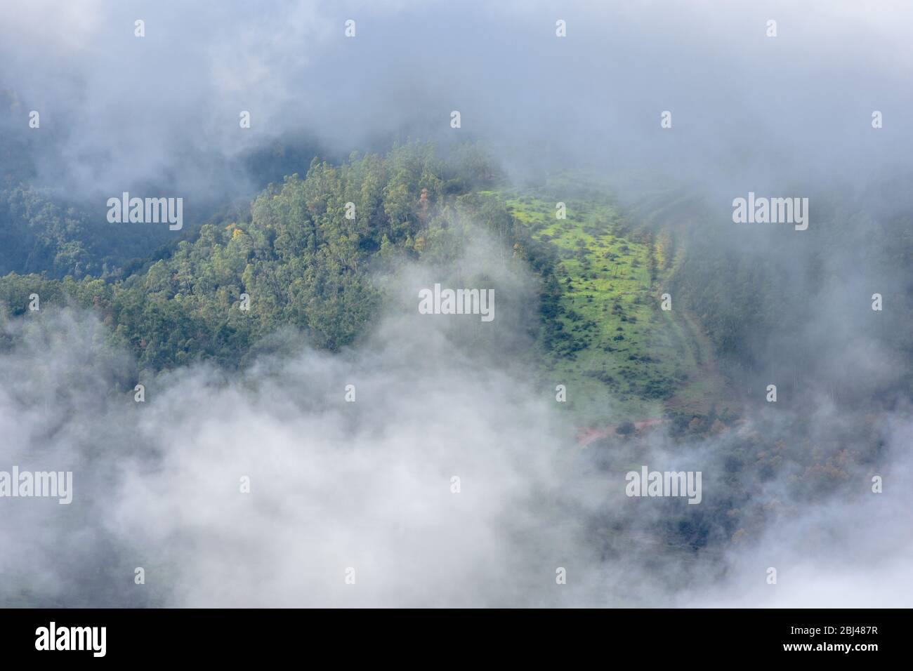 White misty clouds hi-res stock photography and images - Alamy