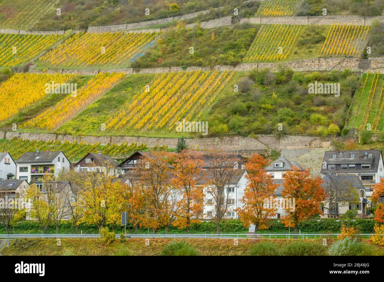 Middle Rhine scenic cruise- Riverside town buildings and houses ...