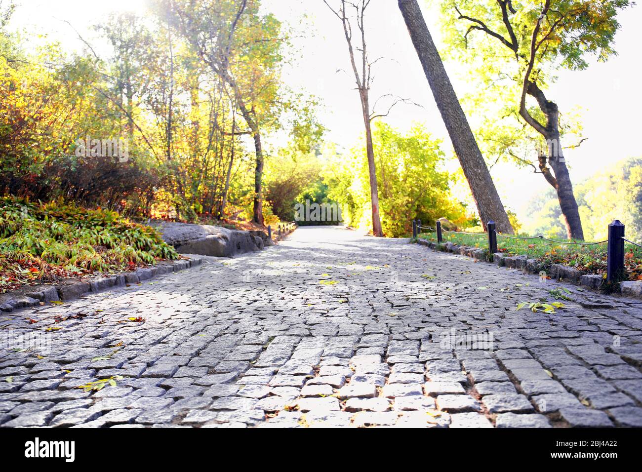 Cobblestone path in a park Stock Photo - Alamy