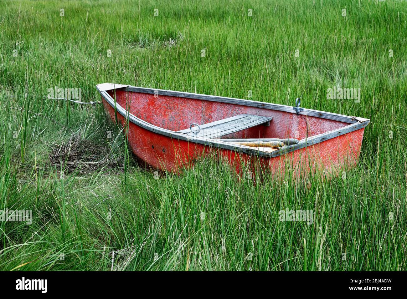Charming rowboat in wetland grass at Cape Cod in Massachusetts Stock ...