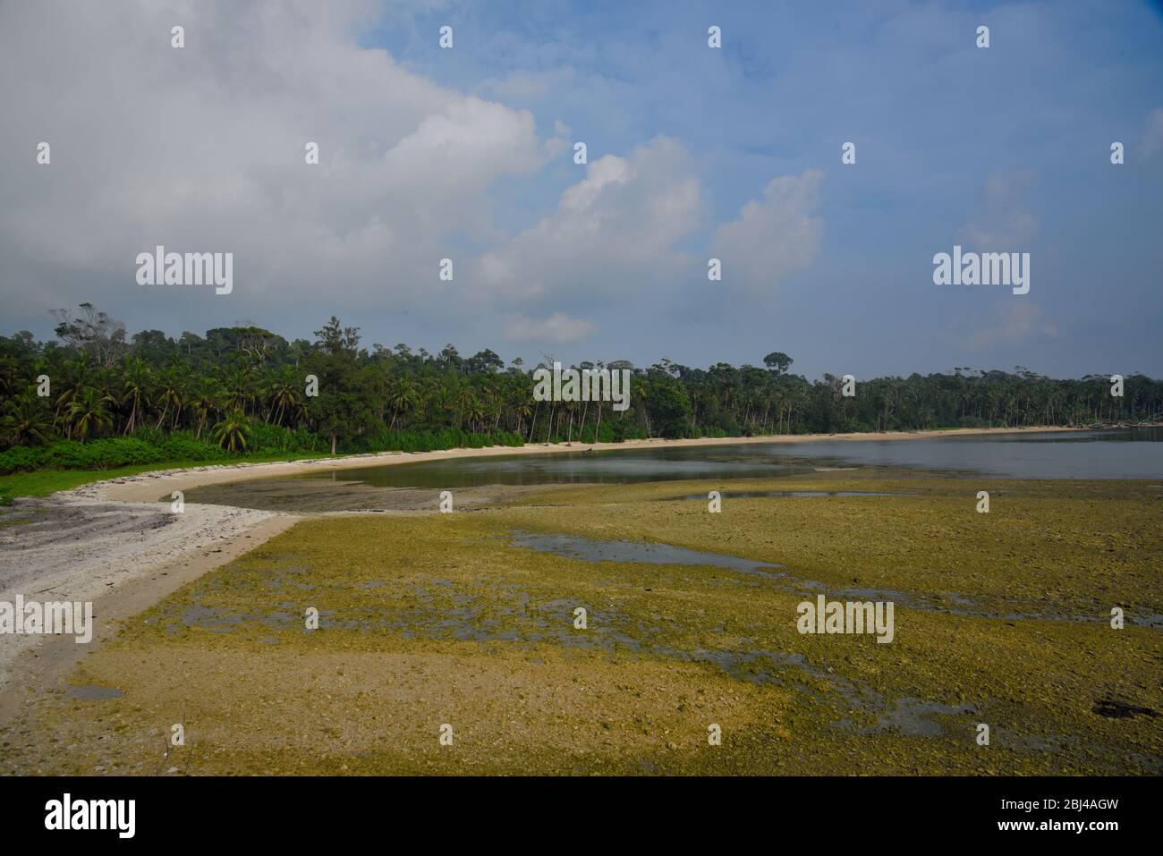 Tropical landscape Andaman Island Stock Photo - Alamy