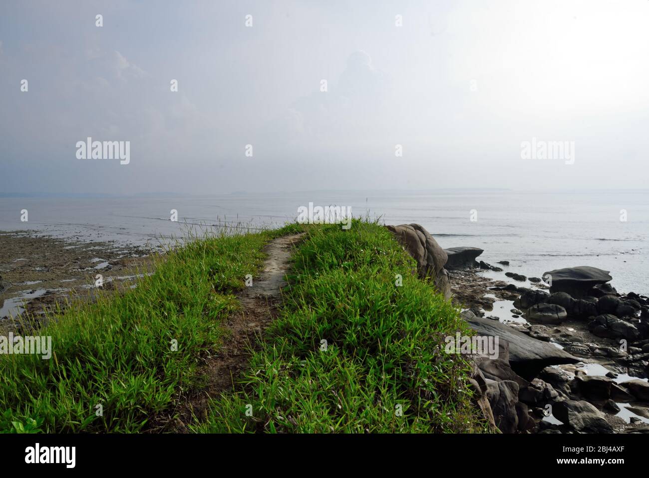 Tropical landscape Andaman Island Stock Photo - Alamy