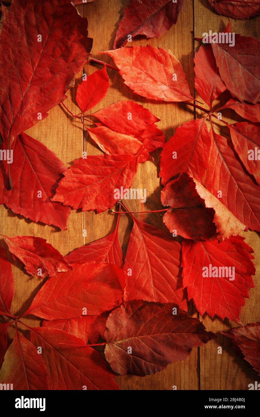 Background of red autumn leaves on wooden table, close-up Stock Photo ...
