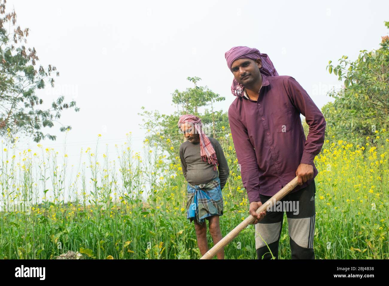indian farmer doing agricultural work, India Stock Photo - Alamy
