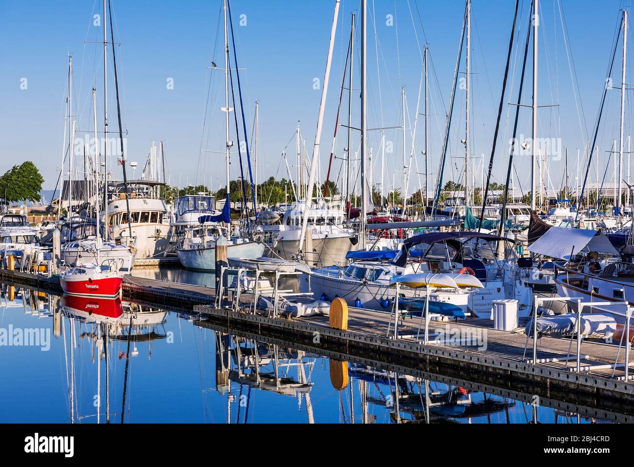 Boats in Squalicum Harbour Stock Photo - Alamy