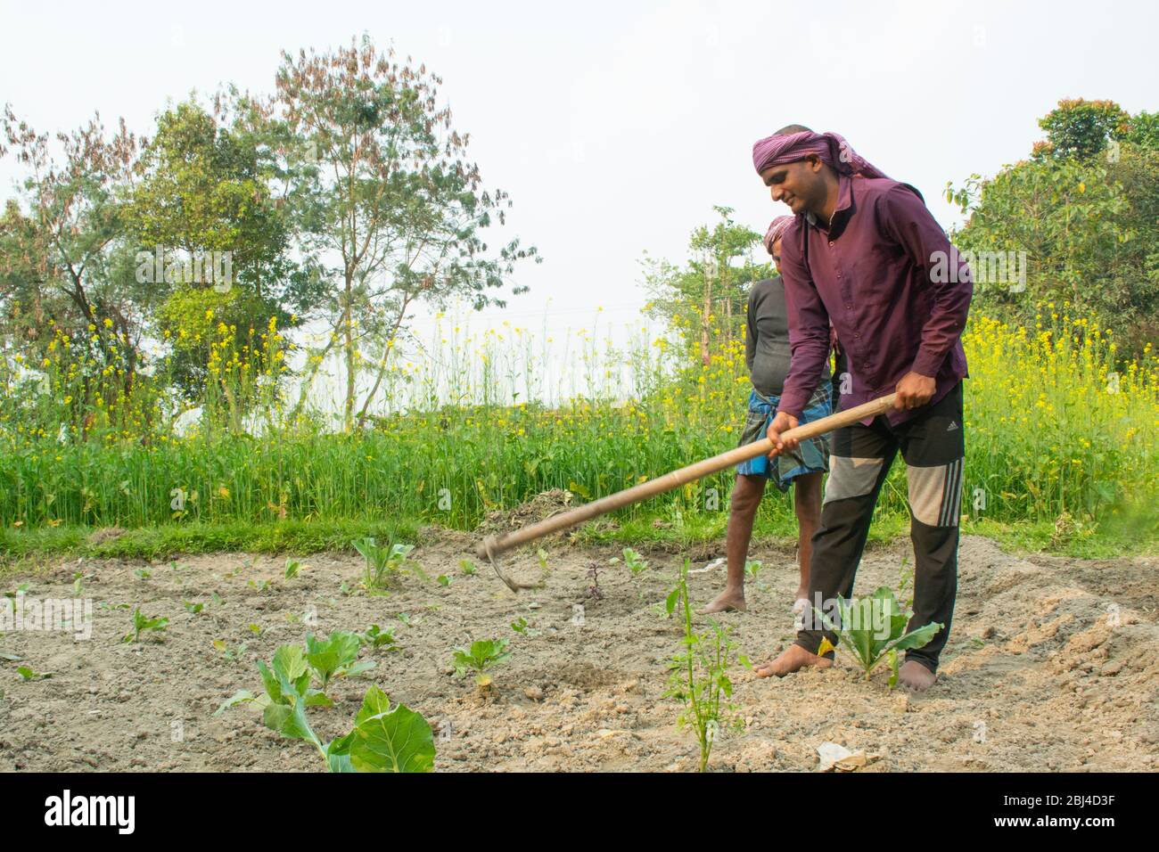 indian farmer doing agricultural work, India Stock Photo - Alamy