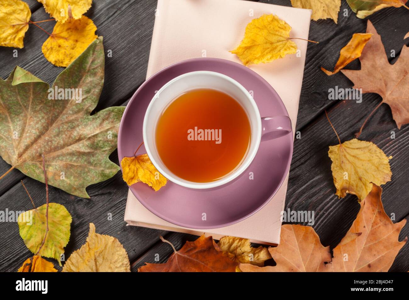 Book paris tea hi-res stock photography and images - Alamy