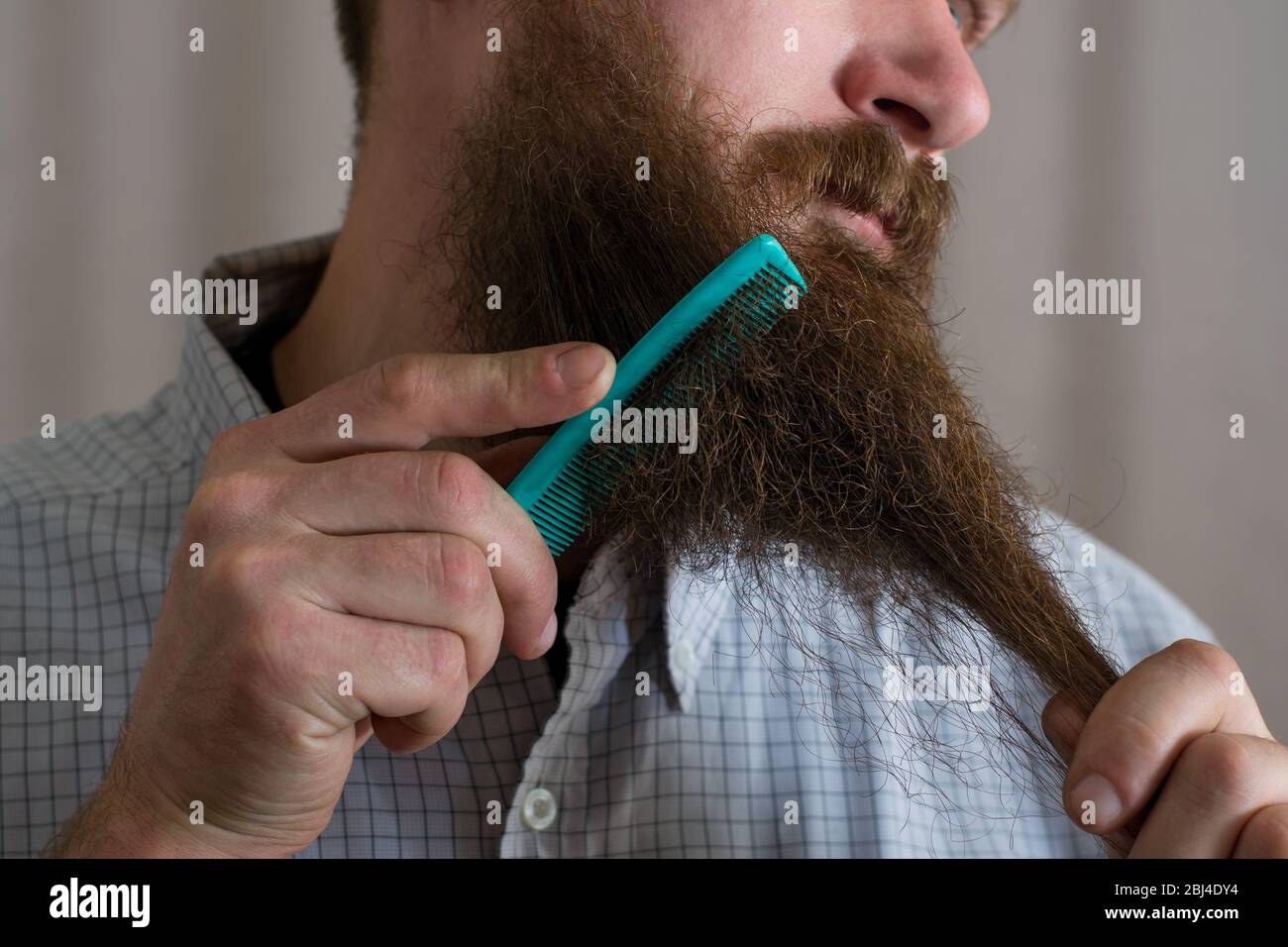 Photo of a man who combs his thick long beard Stock Photo - Alamy