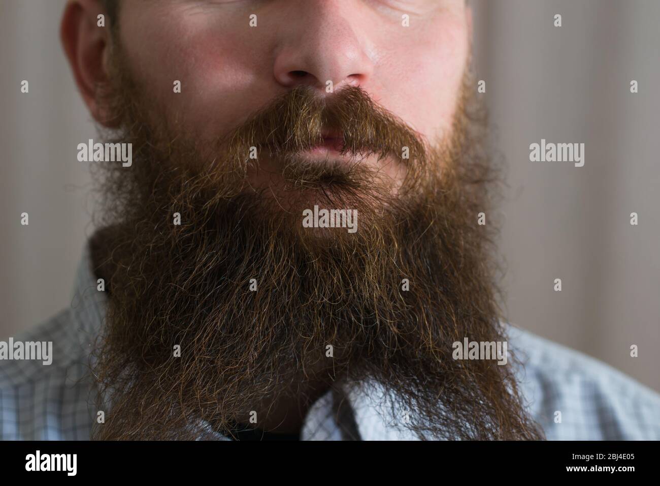 Photo thick beard adult hi-res stock photography and images - Alamy