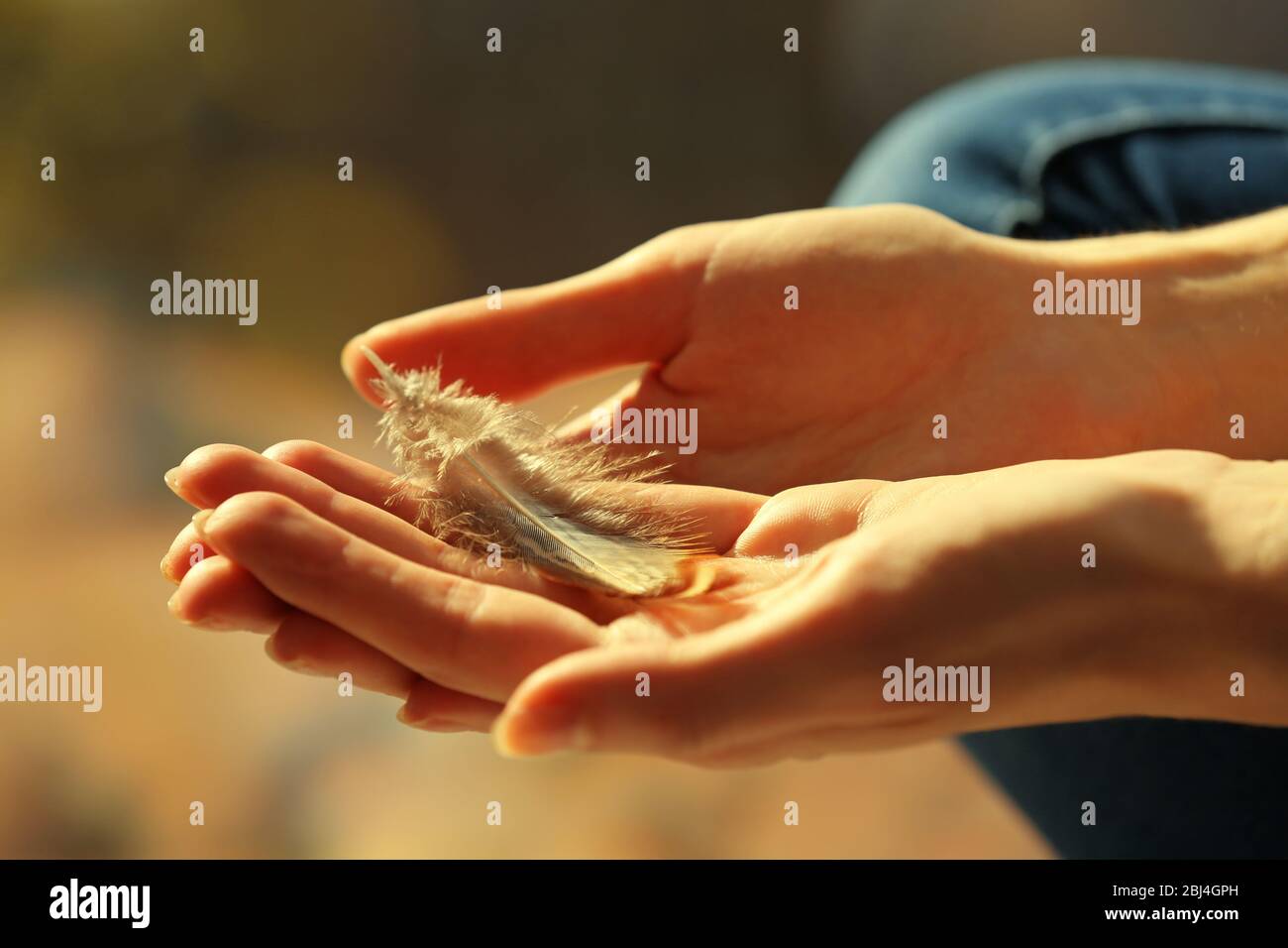 Hands holding a feather, close-up Stock Photo - Alamy