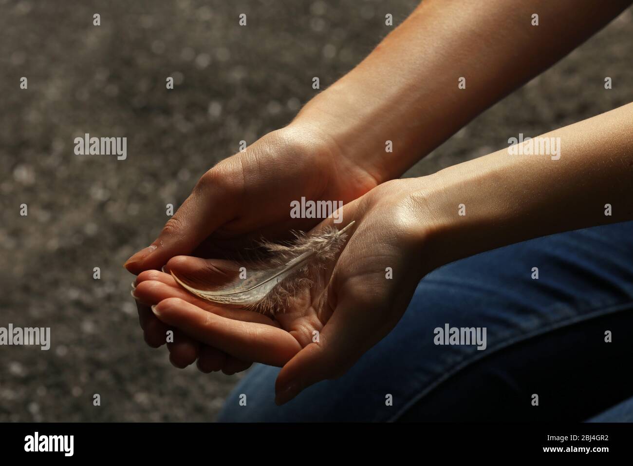 Hands holding a feather on grey carpet background, close-up Stock Photo ...