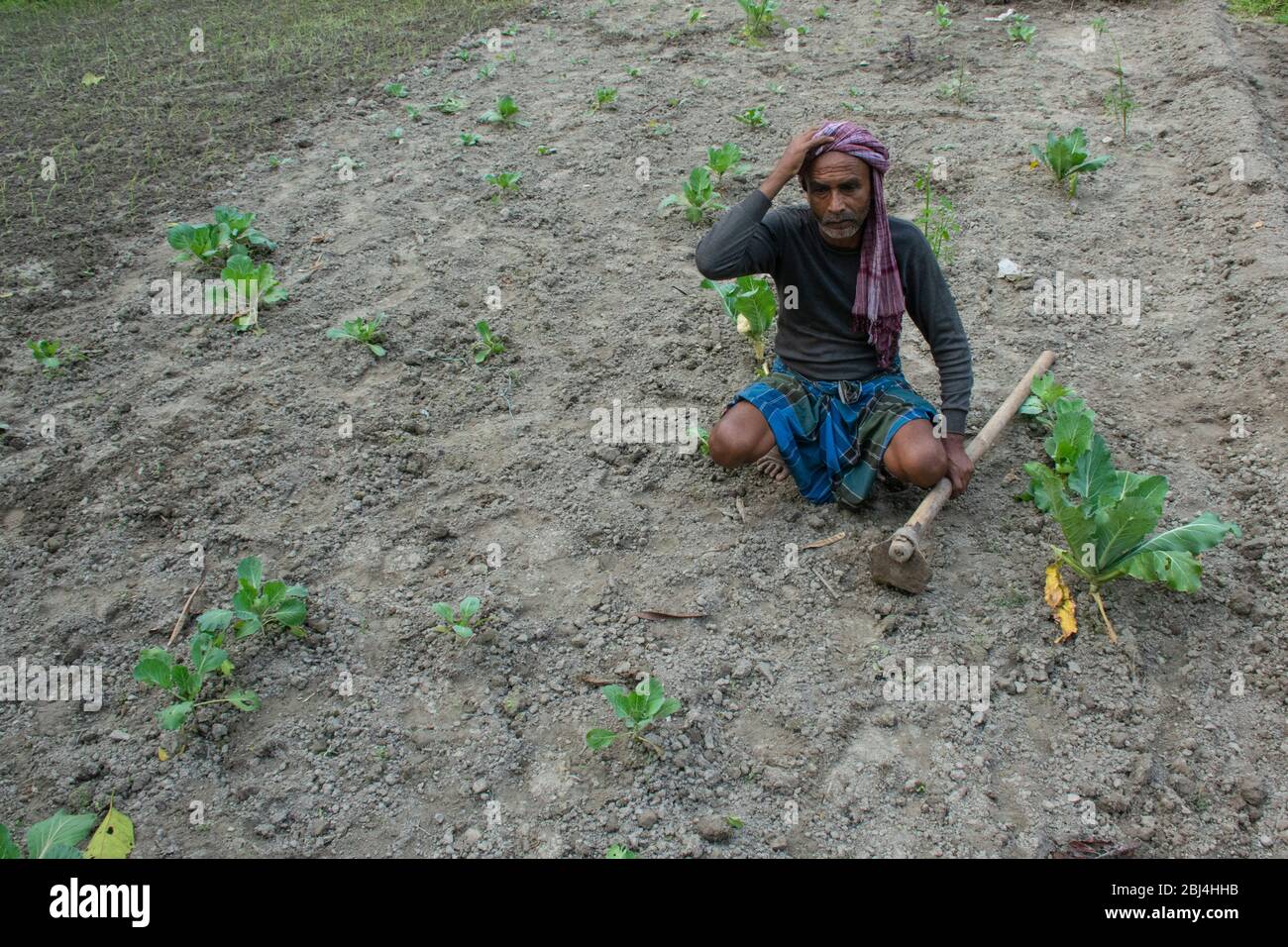 sad farmer crying at field, India Stock Photo - Alamy