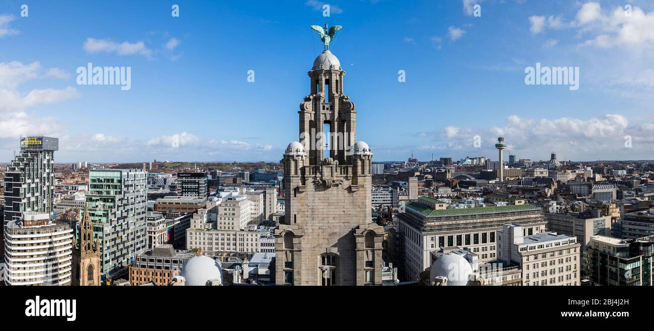 Liver Bird on the Royal Liver Building facing across the city of ...