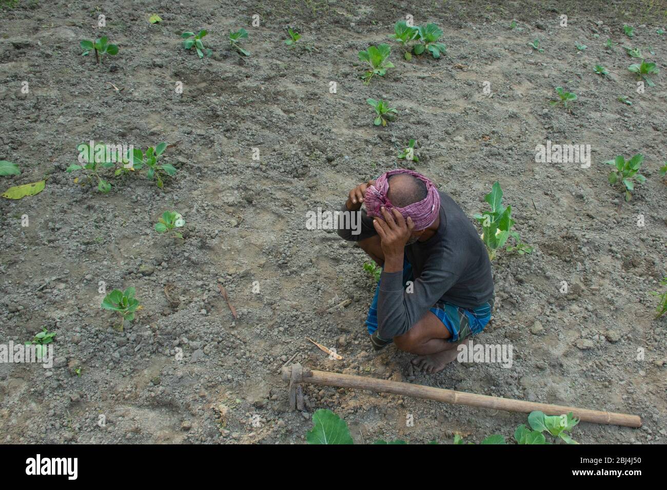 sad farmer crying at field, India Stock Photo - Alamy