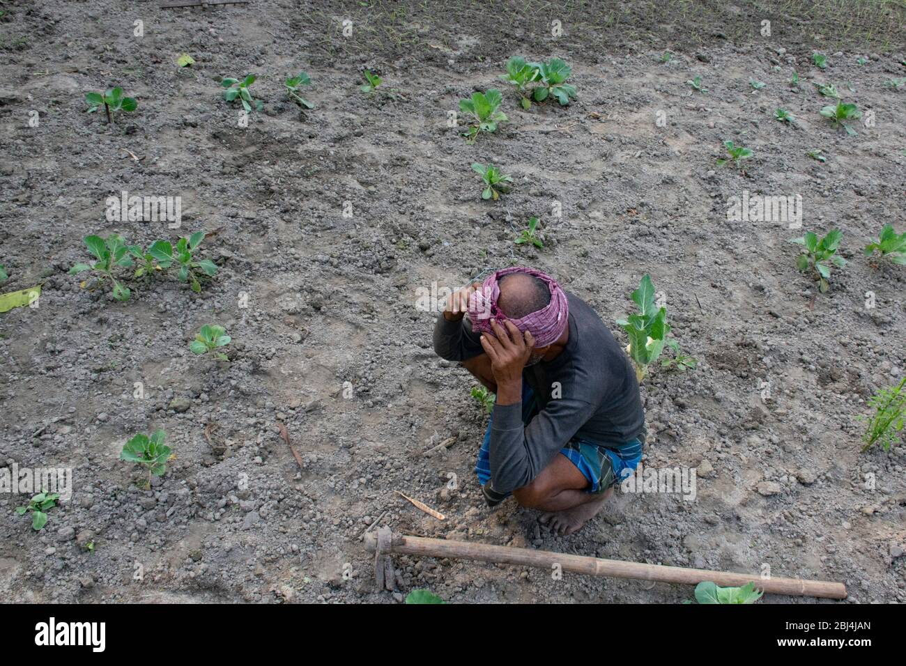 sad farmer crying at field, India Stock Photo - Alamy