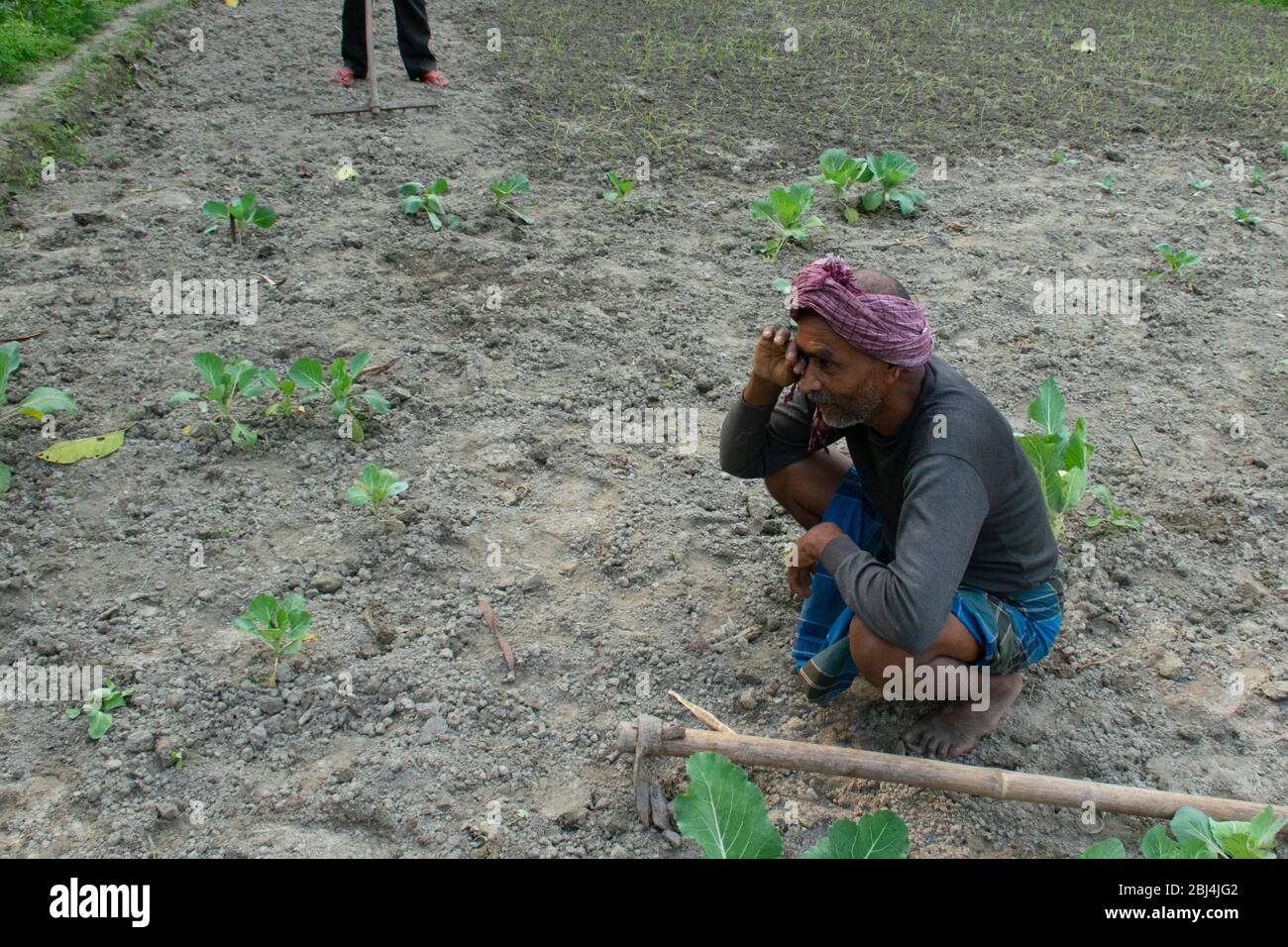 sad farmer crying at field, India Stock Photo - Alamy