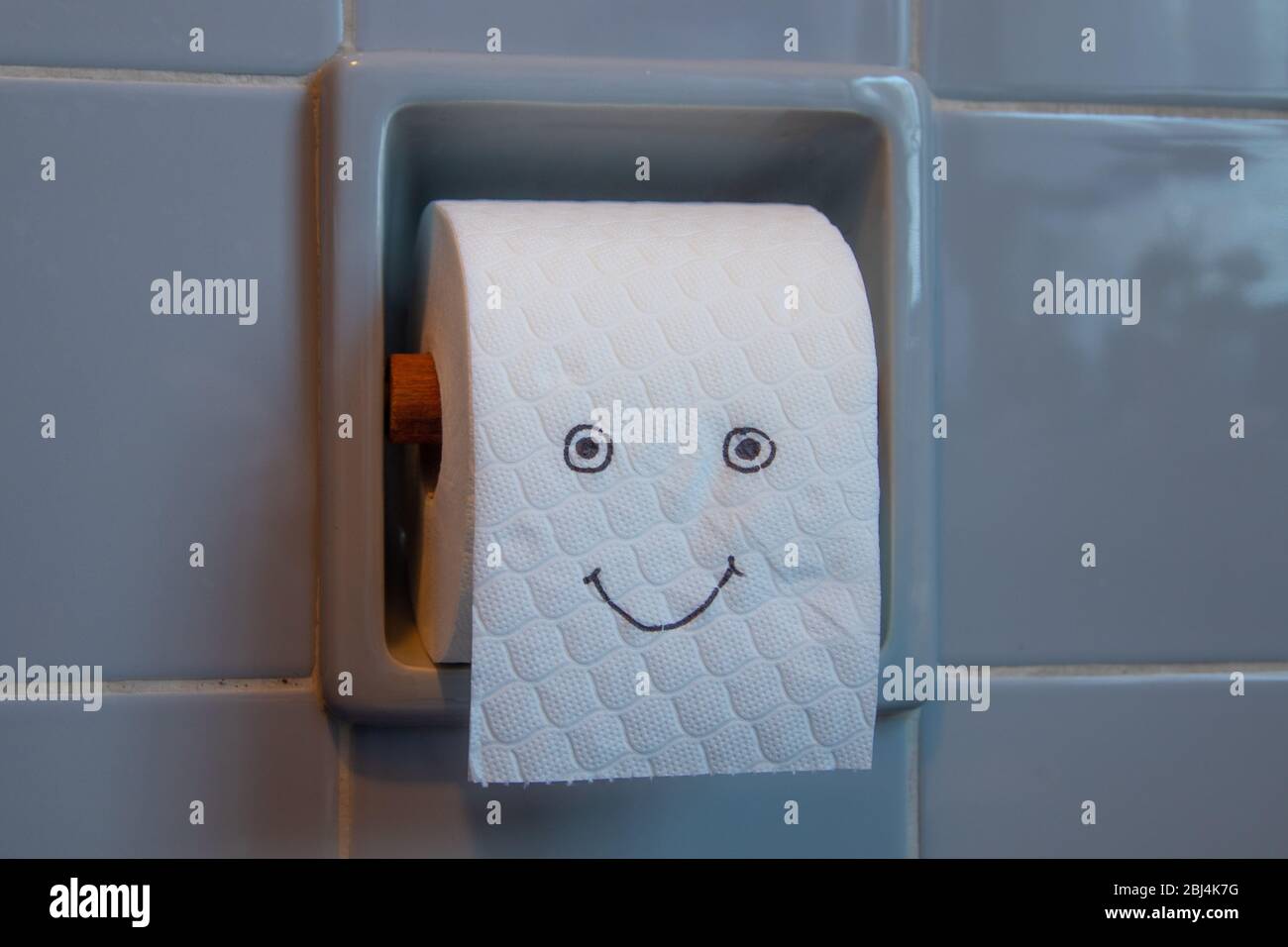 Toilet paper roll with happy face in a toilet paper holder, grey-blue ...