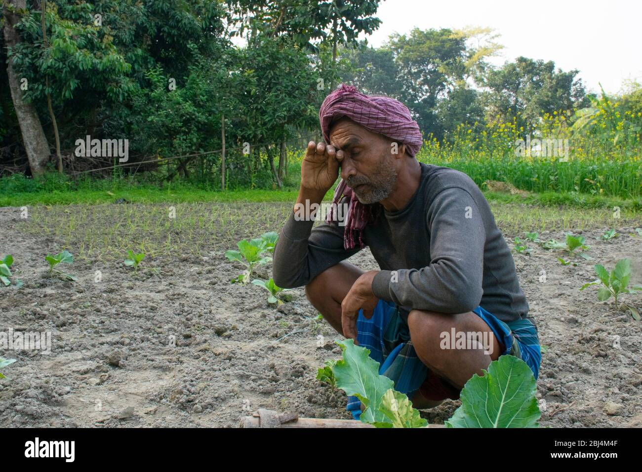 Sad Farmer Wallpaper Sad Farmer Hi Res Stock Photography And Images
