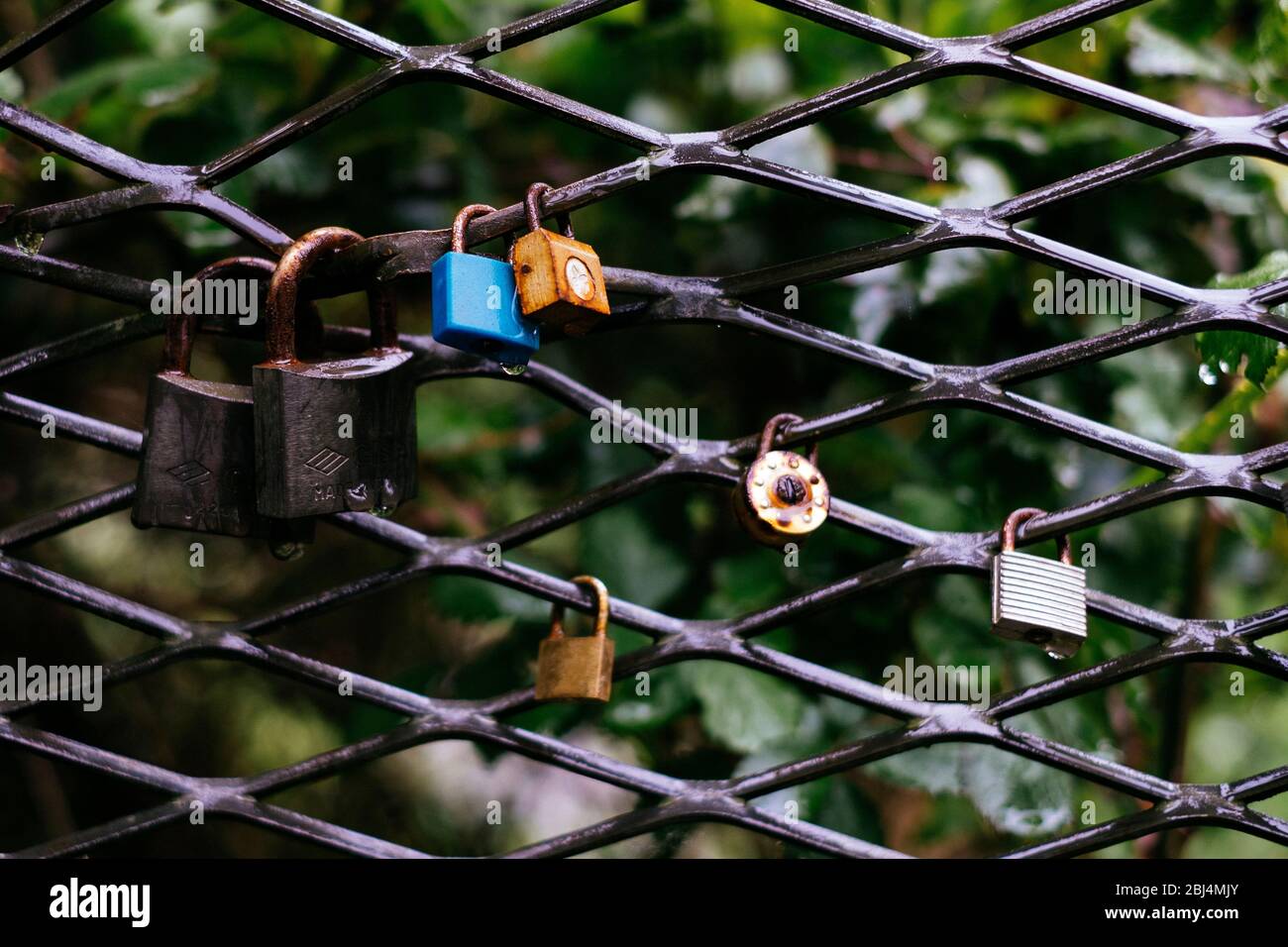 Padlocks on fence hi-res stock photography and images - Alamy
