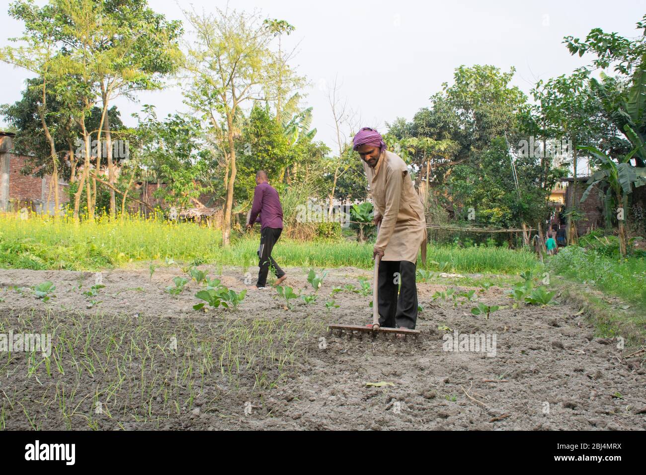 indian farmer doing agricultural work, India Stock Photo - Alamy