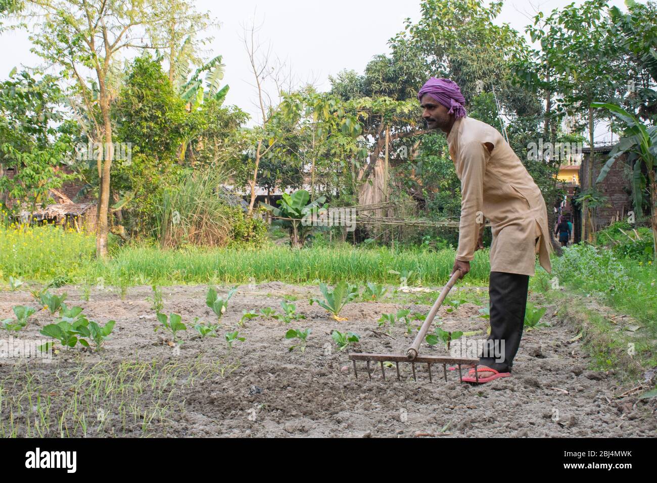 indian farmer doing agricultural work, India Stock Photo - Alamy