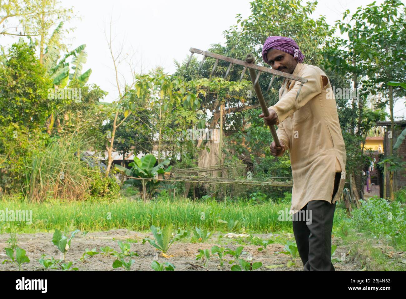 indian farmer doing agricultural work, India Stock Photo - Alamy