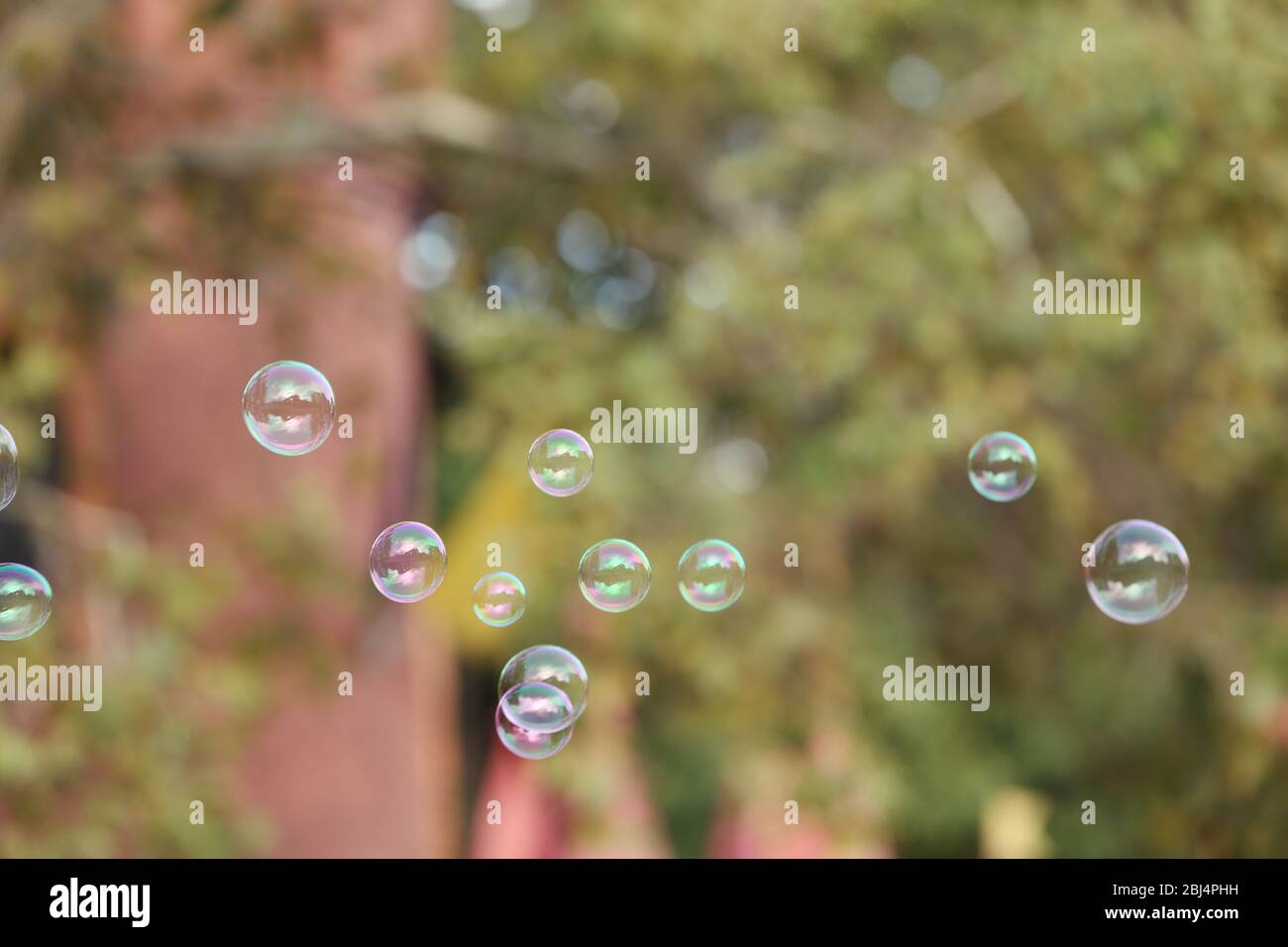Soap bubbles outdoor Stock Photo - Alamy