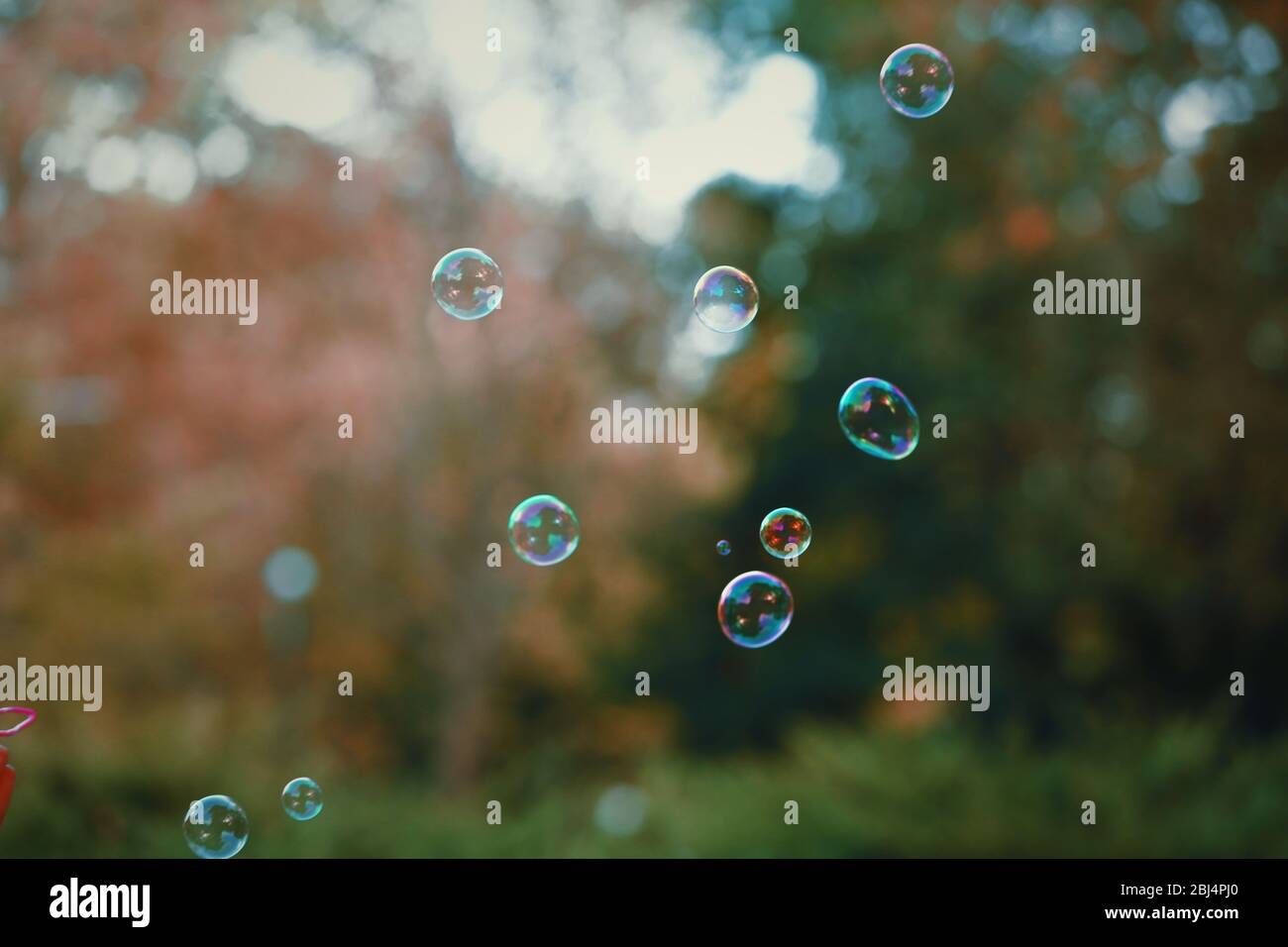 Soap bubbles outdoor Stock Photo - Alamy