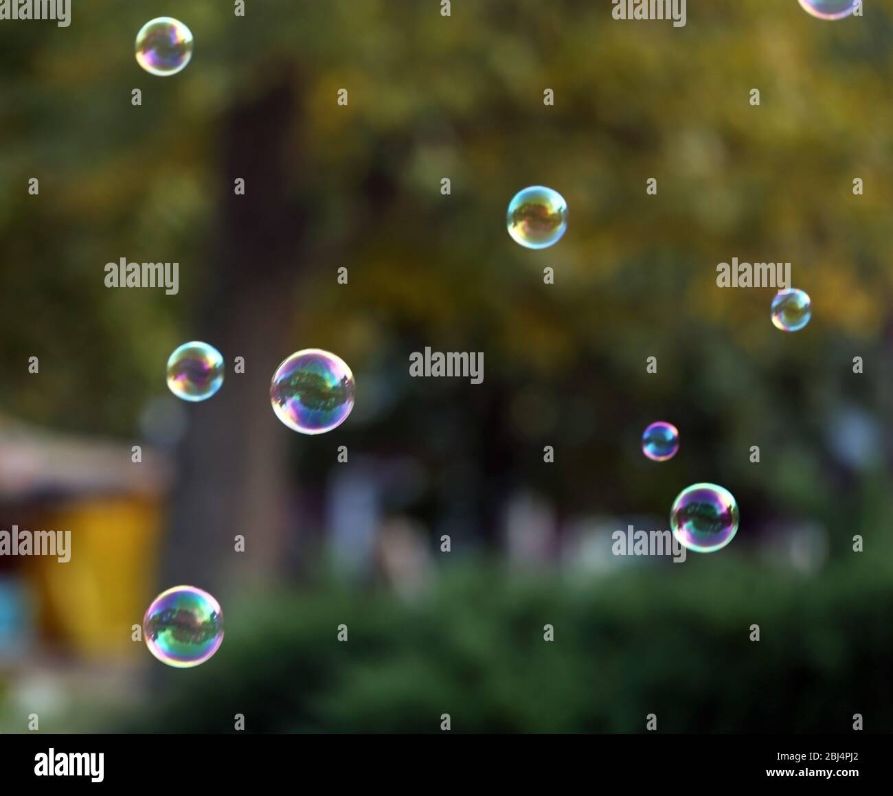 Soap bubbles outdoor Stock Photo - Alamy