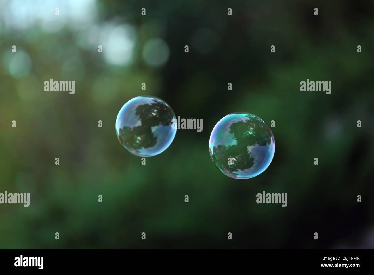 Soap bubbles outdoor Stock Photo - Alamy