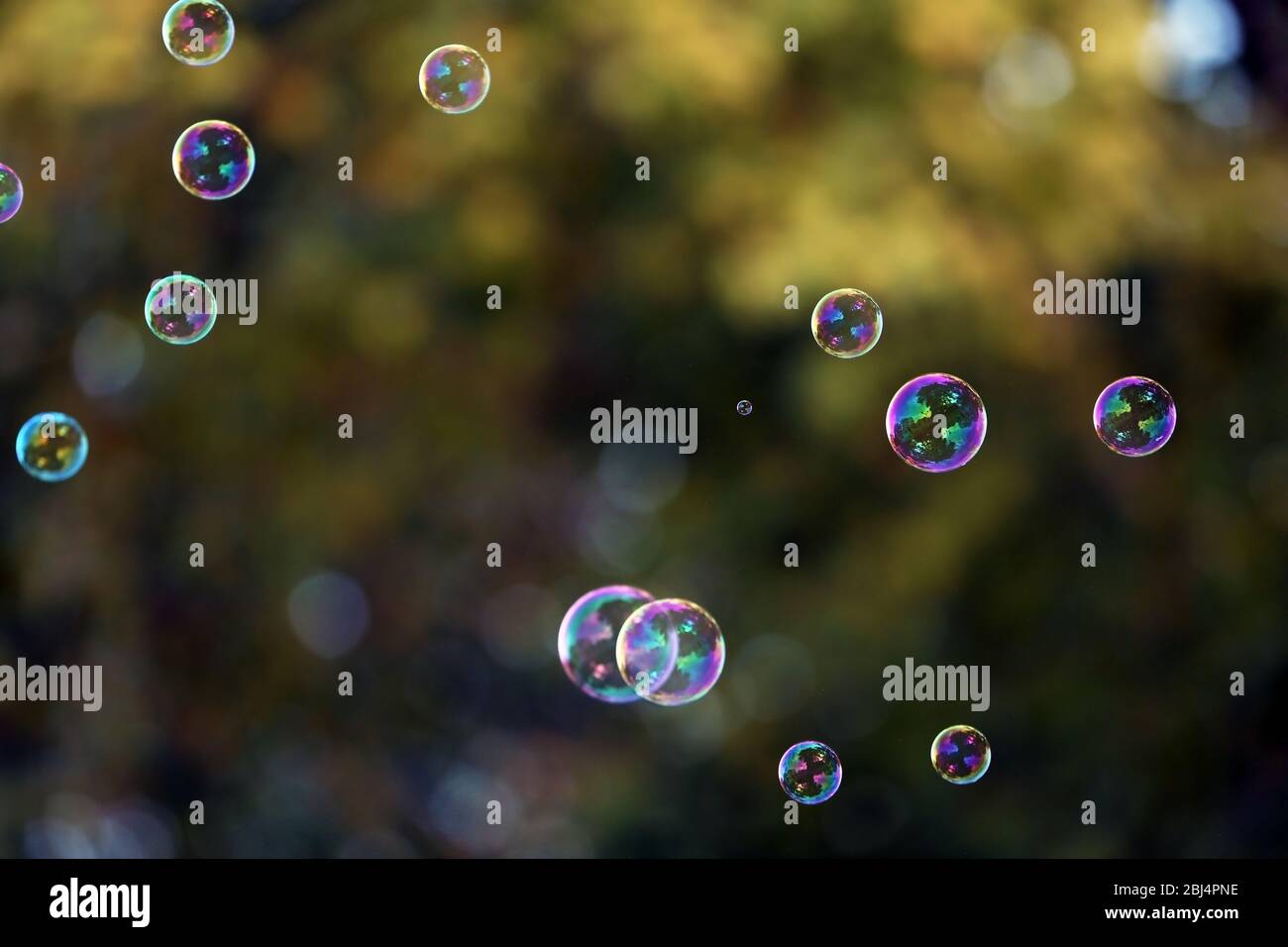 Soap bubbles outdoor Stock Photo - Alamy