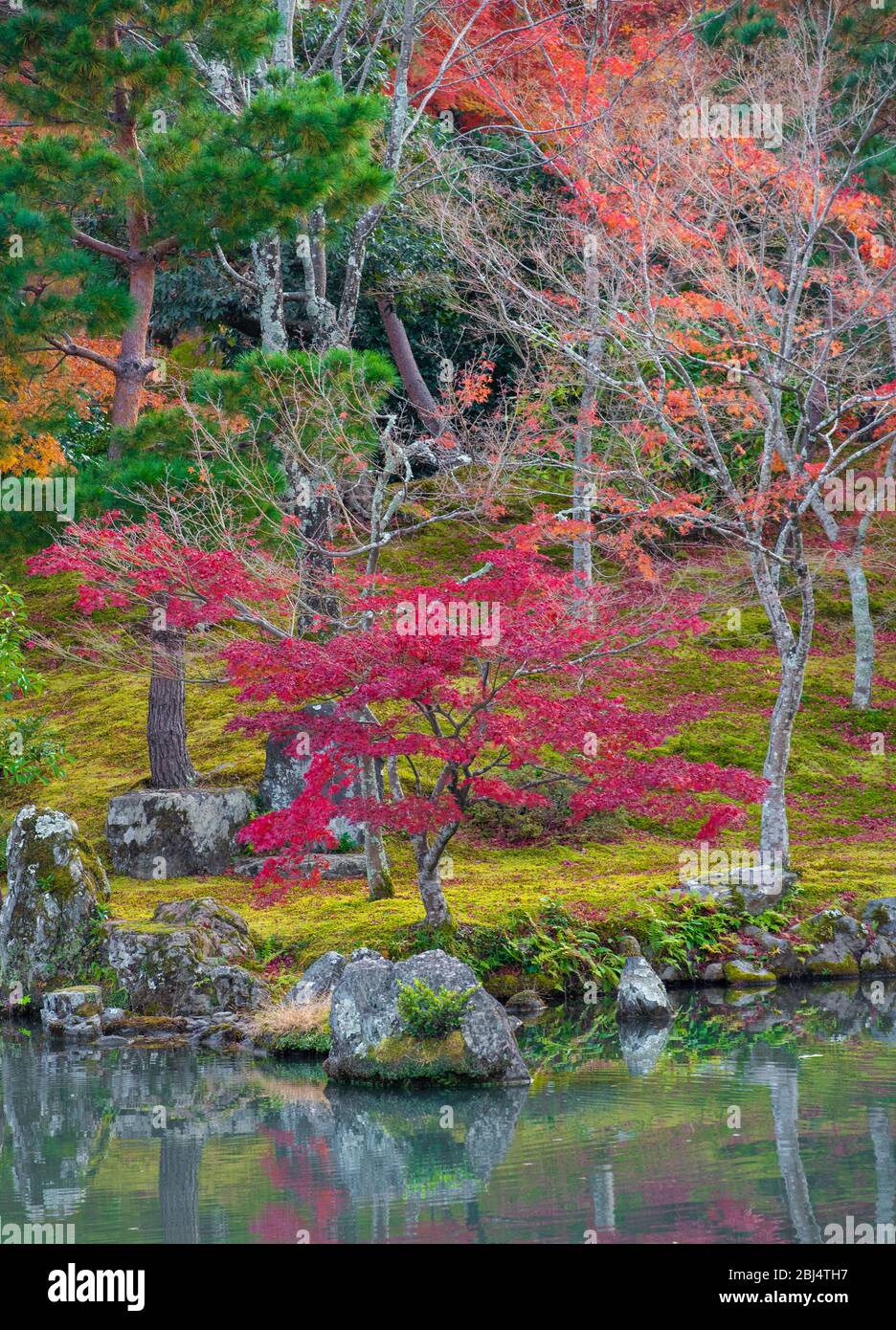 Japan kyoto gardens tenryuji hi-res stock photography and images - Alamy